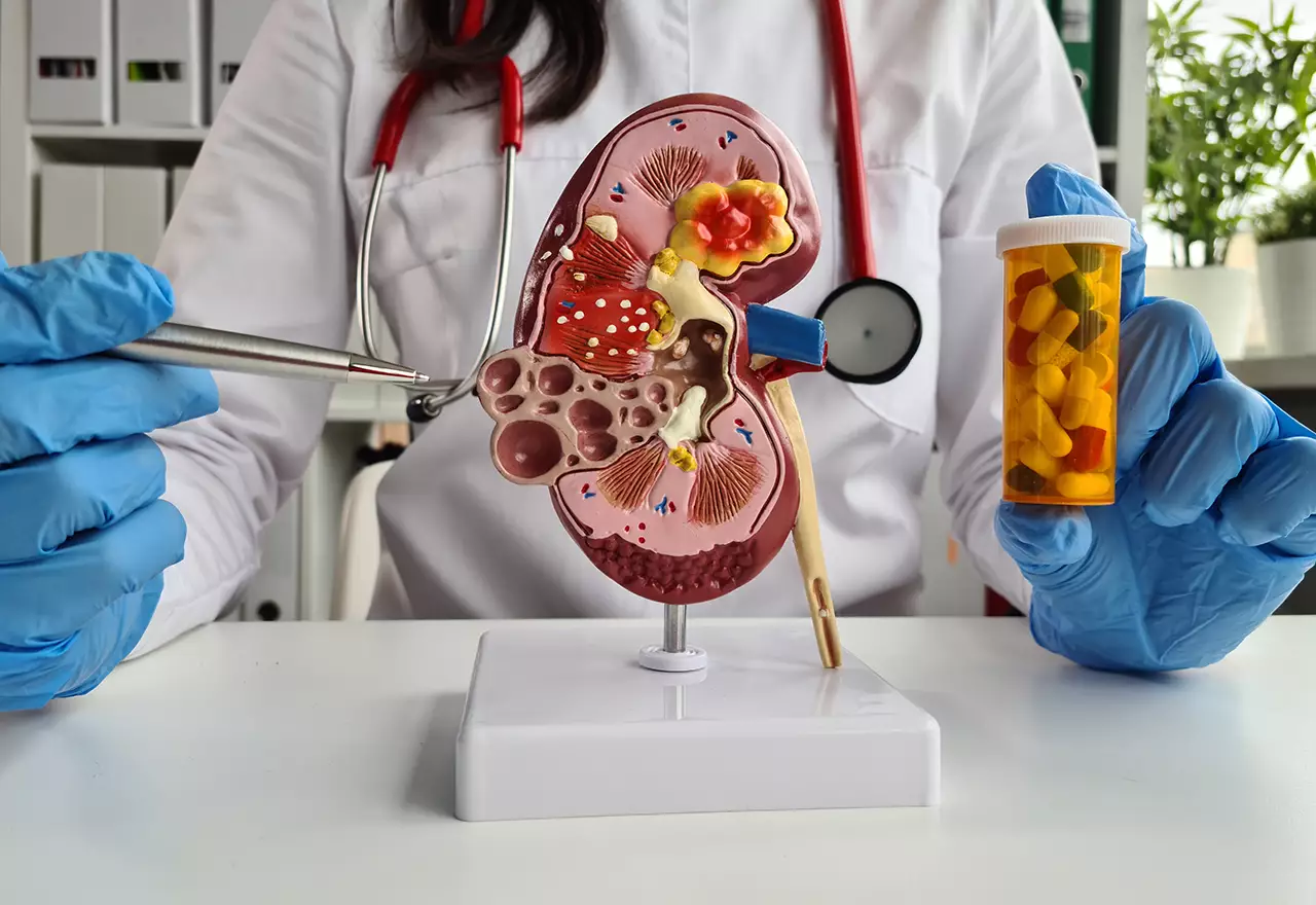 Nutritional management of renal and urinary disease - VeterFlix – 3D ...